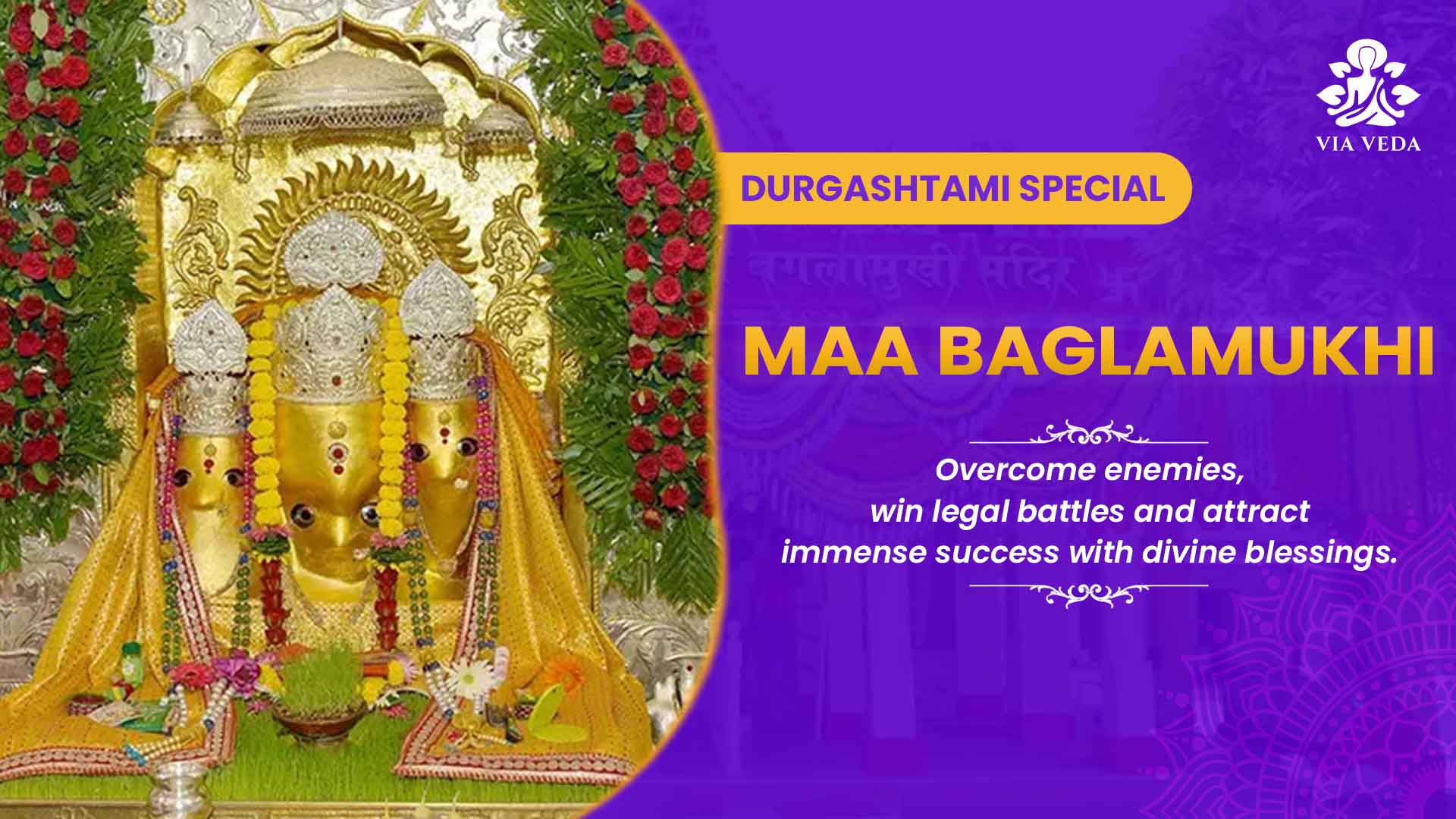 Maa Baglamukhi Puja - puja.viaveda.in