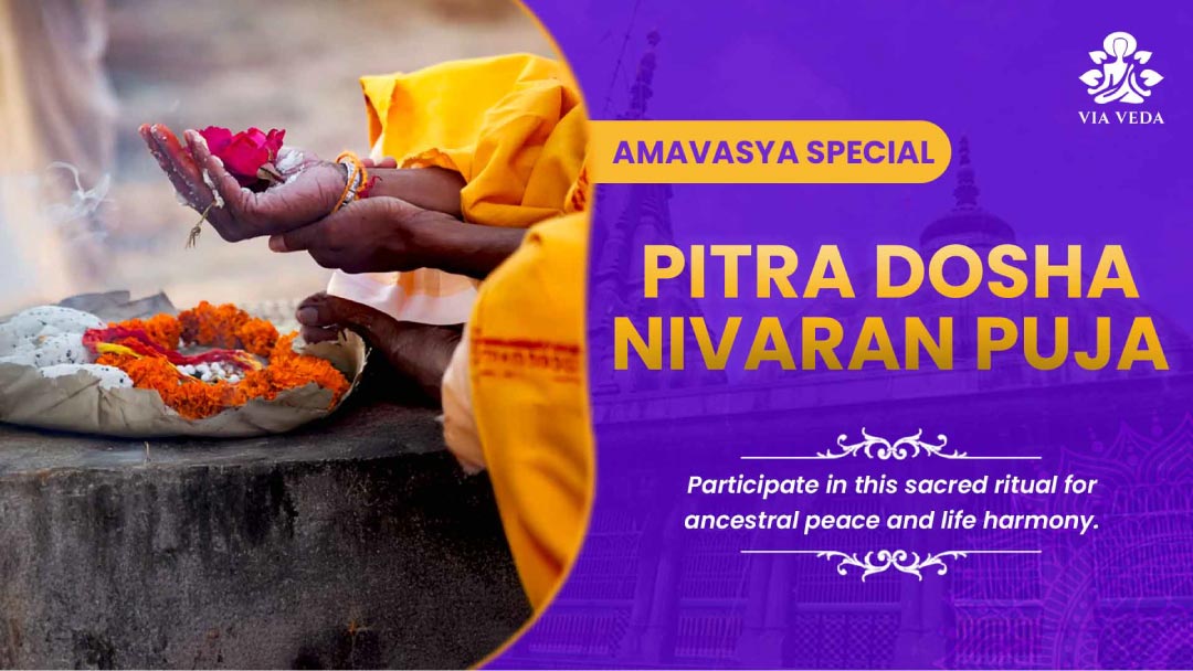 Pitra Dosha Nivaran Puja - puja.viaveda.in